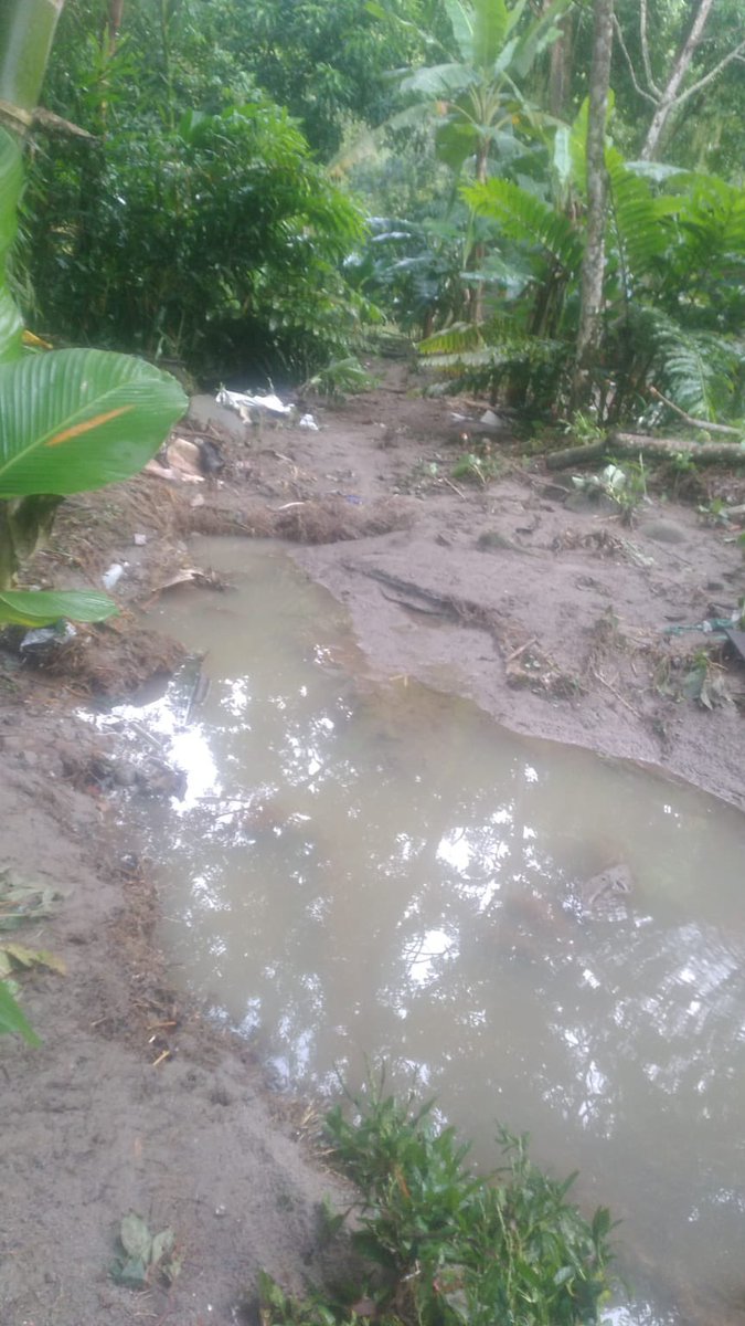 LA VOZ MAYOR DEL TOLIMA on Twitter: LA VOZ MAYOR DEL TOLIMA on Twitter: