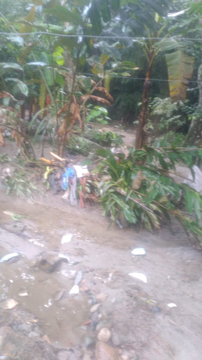 LA VOZ MAYOR DEL TOLIMA on Twitter: LA VOZ MAYOR DEL TOLIMA on Twitter: