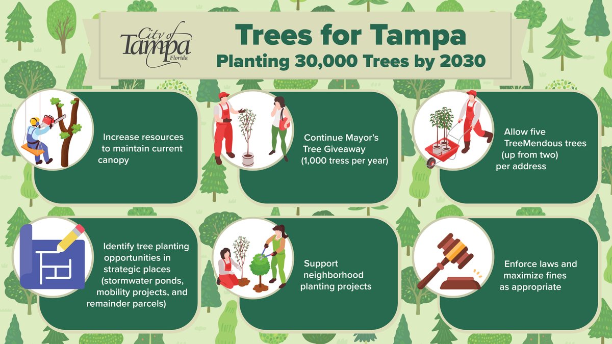 City of Tampa on Twitter: "In case you missed it, Tampa's new tree goal is to plant 30,000 trees ...