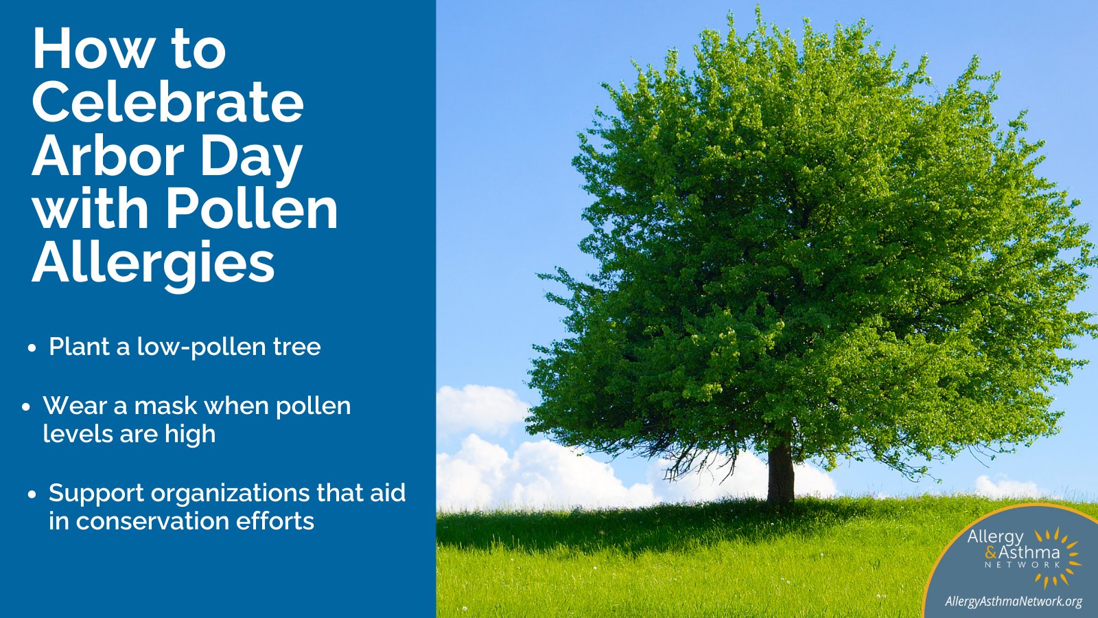 Tree Pollen Allergy