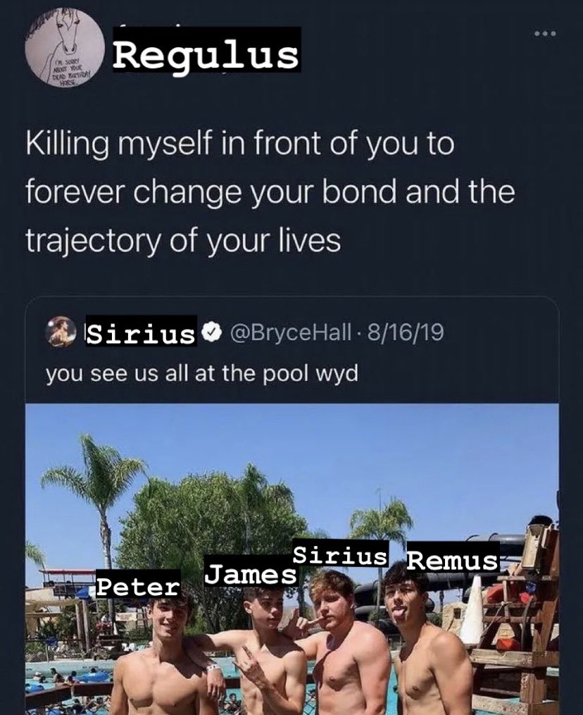 maddie ︎ on Twitter: "Regulus has plans"