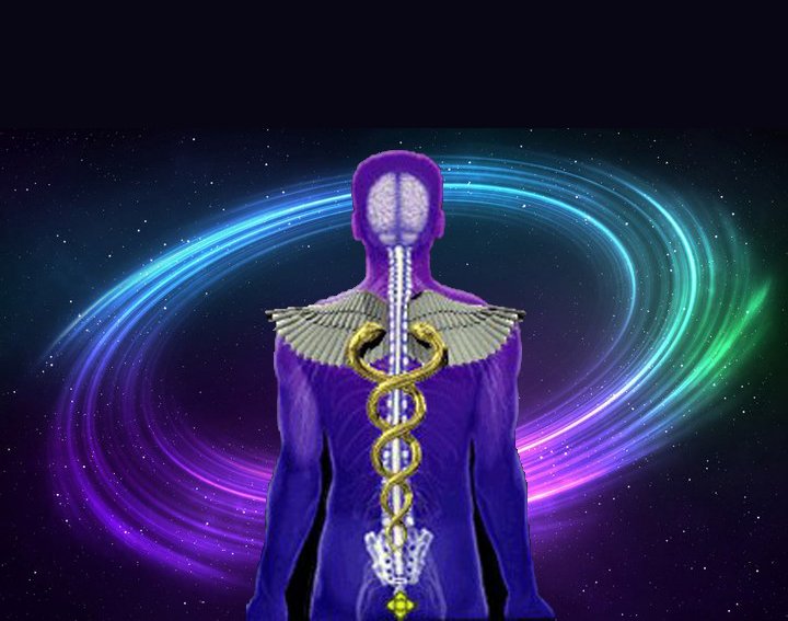 Correspondence between Macrocosm and Microcosm The universe consists of ...