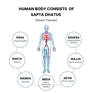 Correspondence between Macrocosm and Microcosm The universe consists of ...