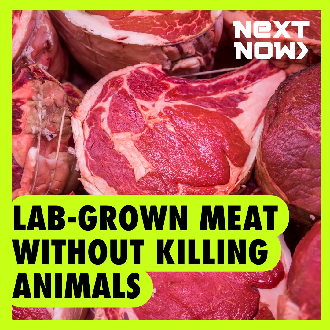 GMA Integrated News on Twitter: "Hindi plant-based kundi tunay na karne, pero hindi galing sa ...