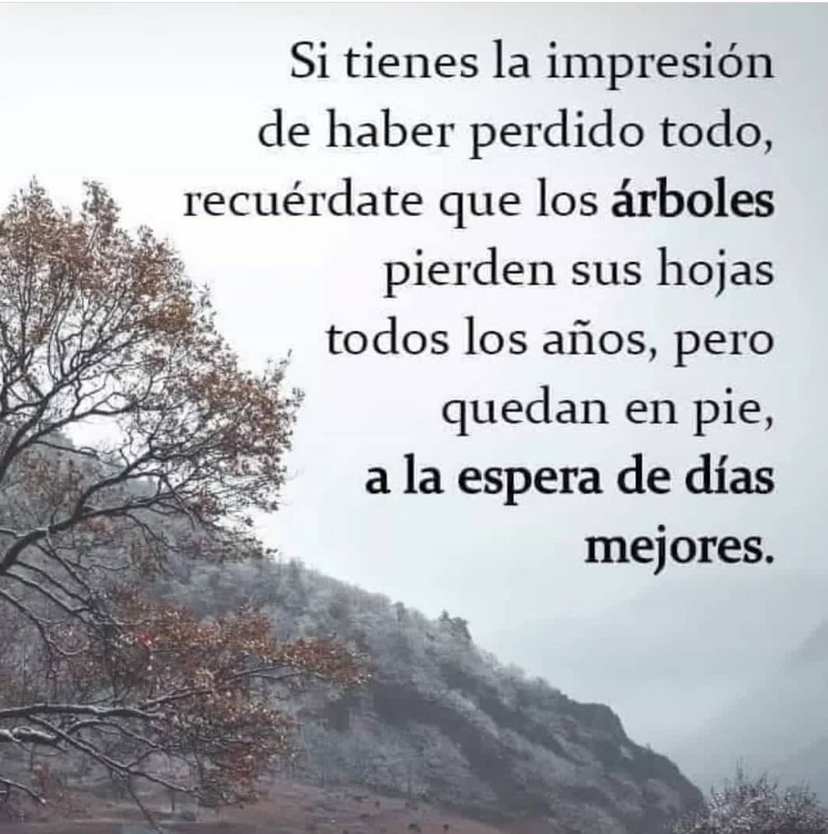 Cyana Todo Buceo on Twitter: Cyana Todo Buceo on Twitter: