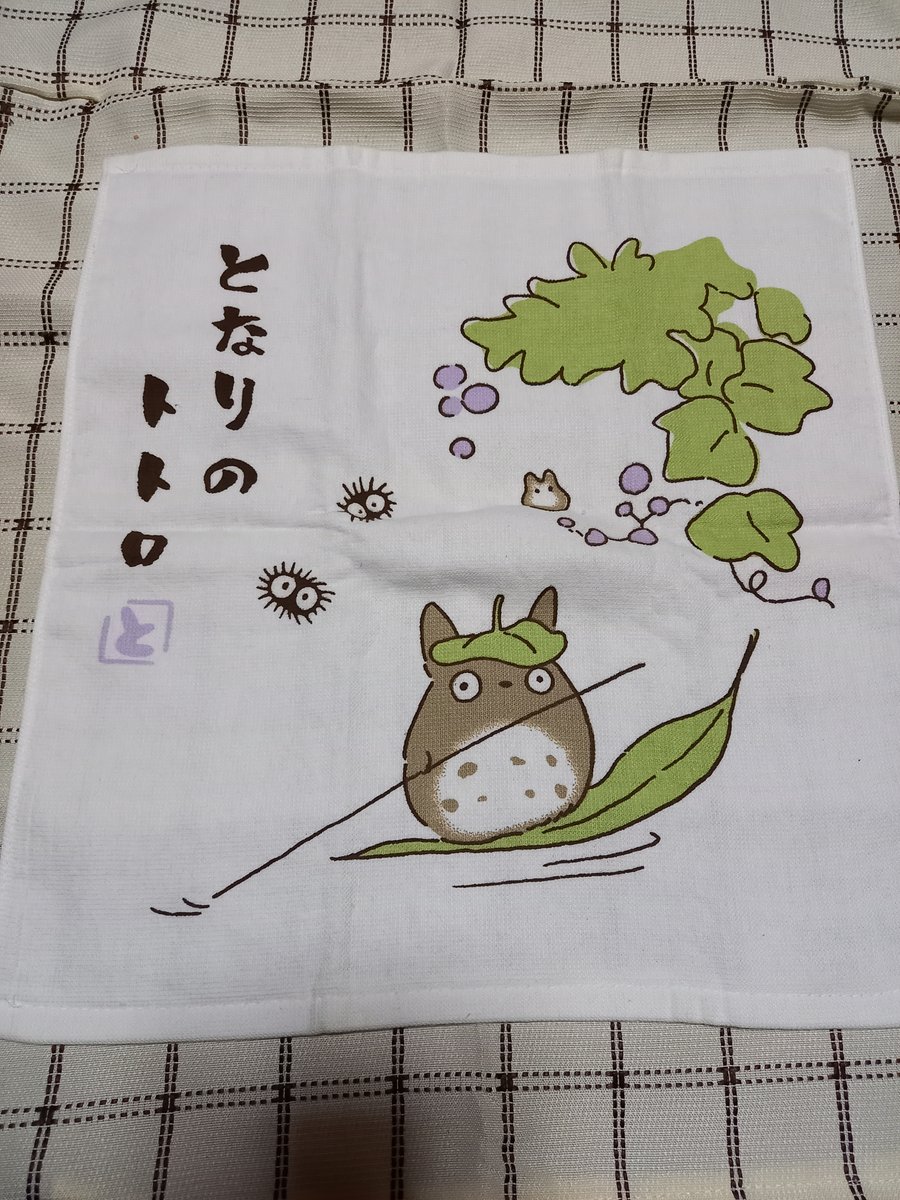 ととろっち🐘 On Twitter 今日の戦利品は 新品のトトロの ハンドタオル 2枚で220円でした💰 ポケットには 入らないくらい どちらも大きいですが とってもかわいいです😊
