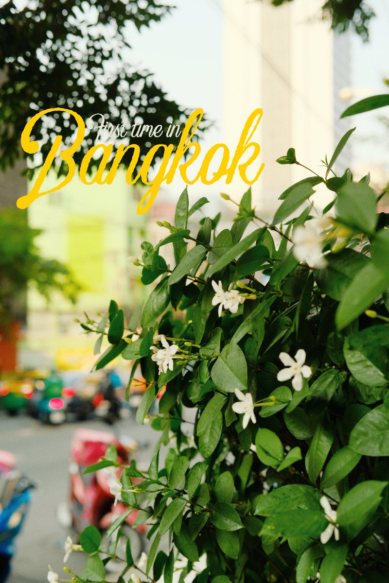 TEMPEST(템페스트) on Twitter: "FIRST TIME IN BANGKOK ON AIR ~ LET’S GO 💛🧡🫶 https://m.cafe.daum.net ...