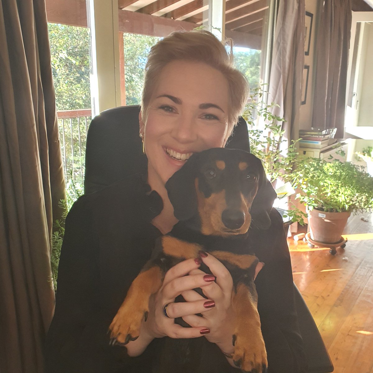 Laura Poirot on Twitter: "Disclaimer: we have no idea how to make a video. We request your love ...