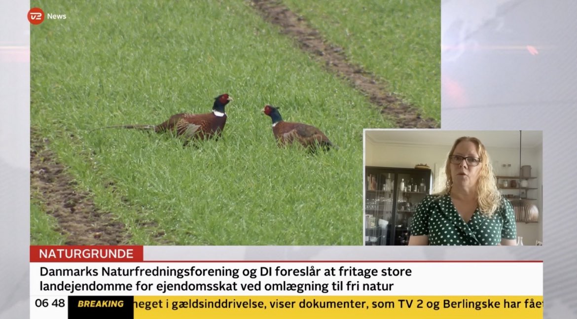 Danmarks Natur on Twitter: "RT @KKlitgaard: Jeg startede dagen i @tv2newsdk og talte om ...