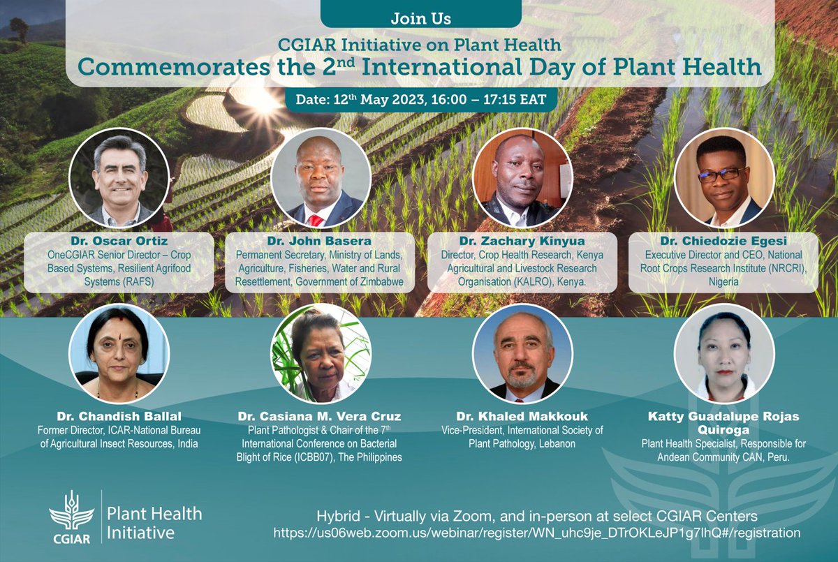 Iita On Twitter The Cgiar Plant Health Initiative Phi Is