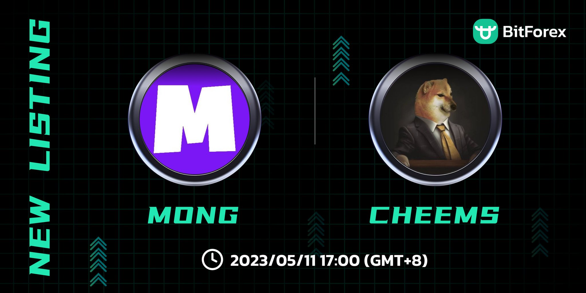 BitForex on Twitter: "🎉🎉BitForex will offer trading for #MONG and #Cheems @mong_coin @LordCheems ...