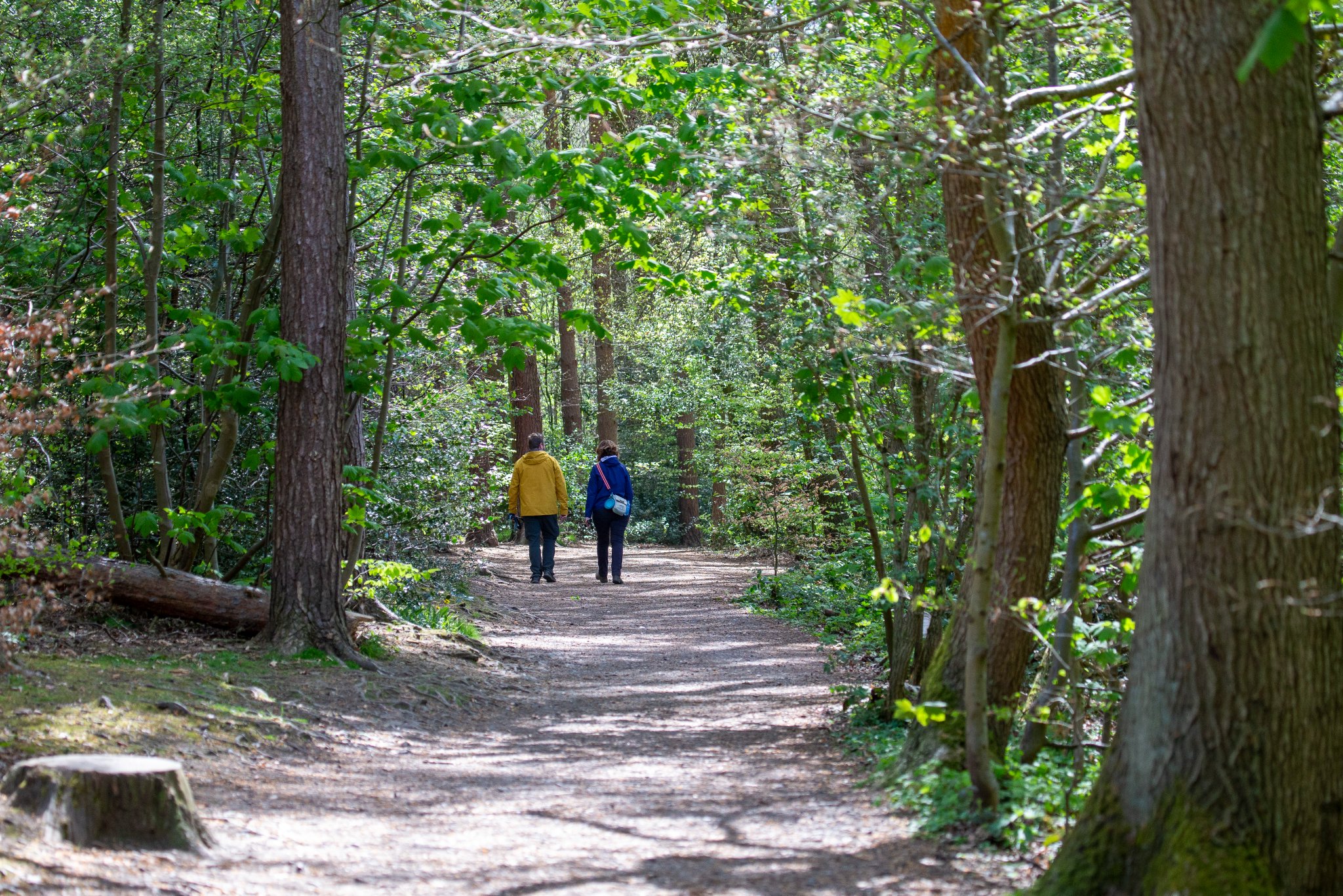 Active Charnwood on Twitter: Active Charnwood on Twitter: