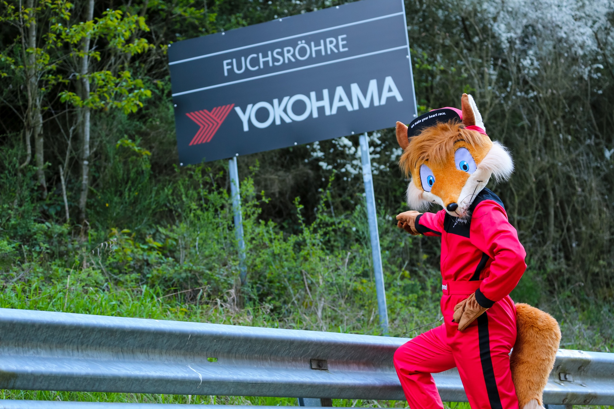 furry_irl : r/furry_irl furry_irl : r/furry_irl