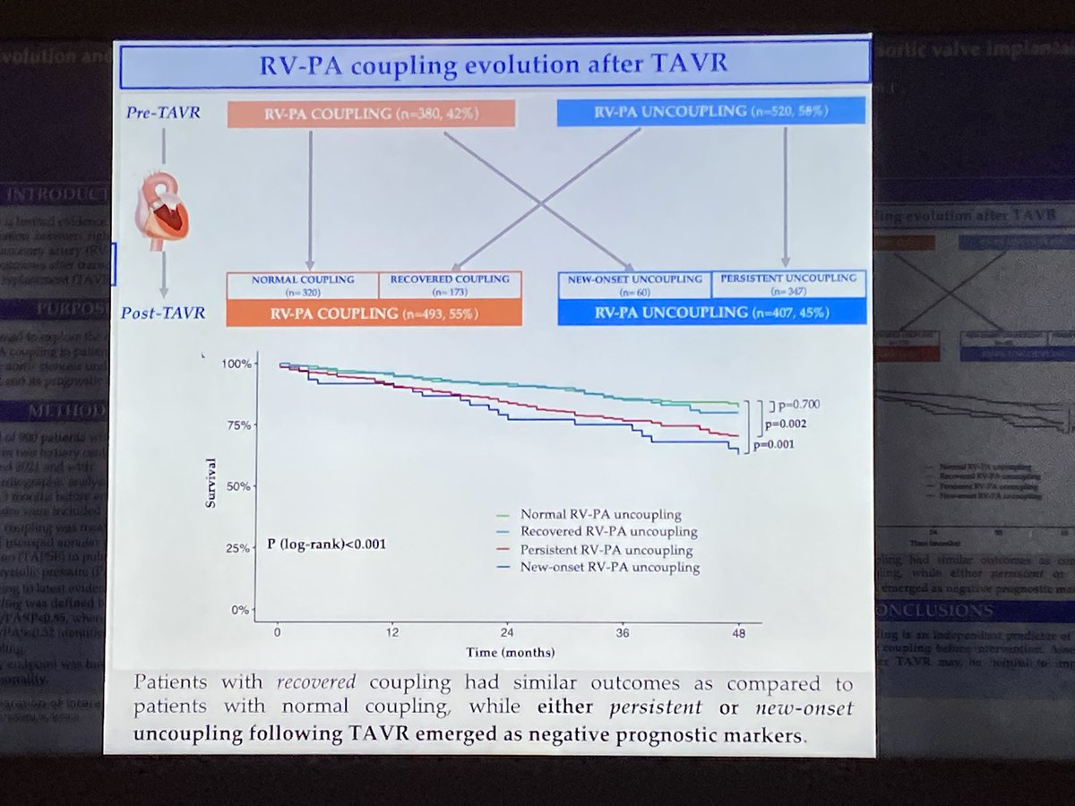 JACC Journals on Twitter: "RT @FGraziani_Grace: ⭐️ @meucci_chiara presenting our last work on # ...