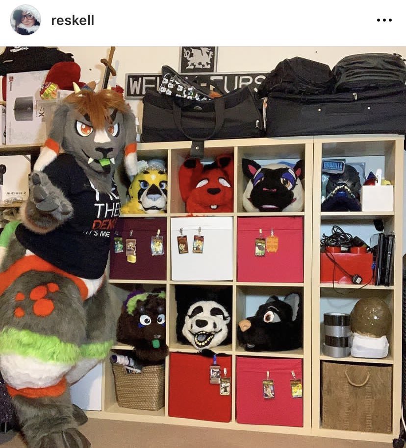 Reskell @ home 🥲 on Twitter: "Non-Binary furries? Non-Binary furries! I use they/them pronouns ...