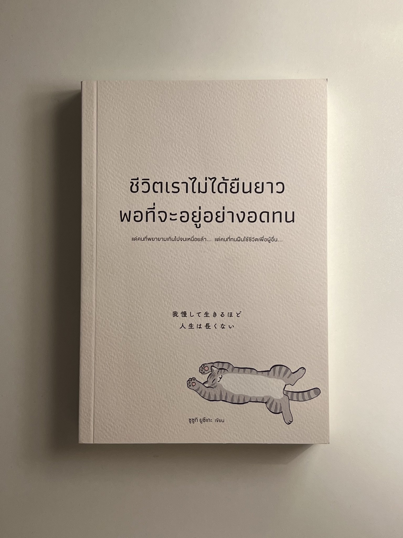 ɢ ᴏ ᴛ On Twitter เป็นหนังสือที่แค่อ่านหน้าปกก็ Ok ซื้อ มันทัชใจเกิน