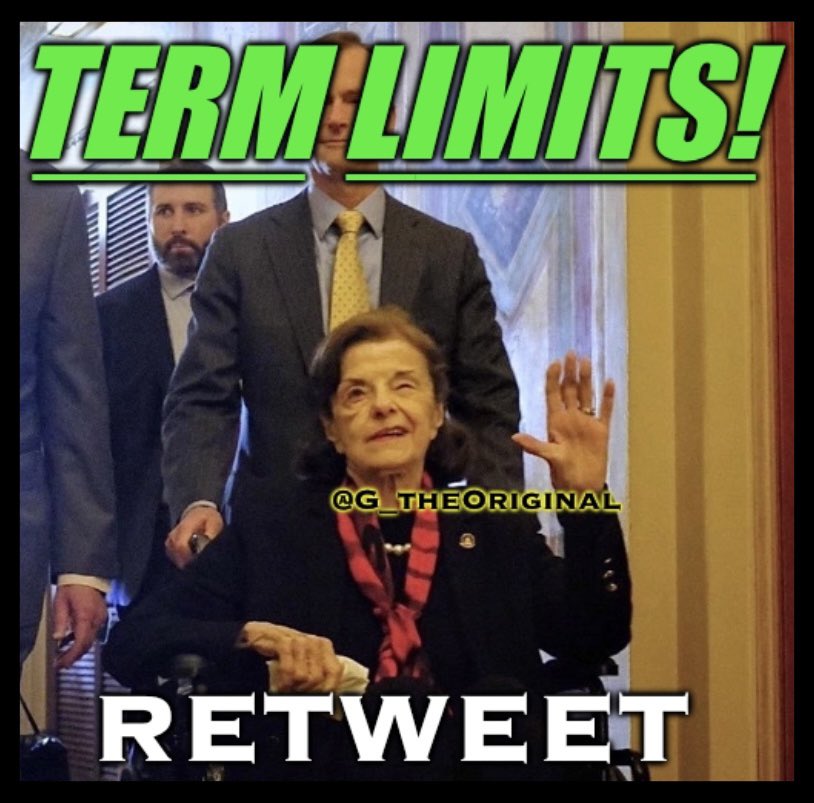 Dianne Feinstein Memes @mannyfidel Argues That We Should Implement