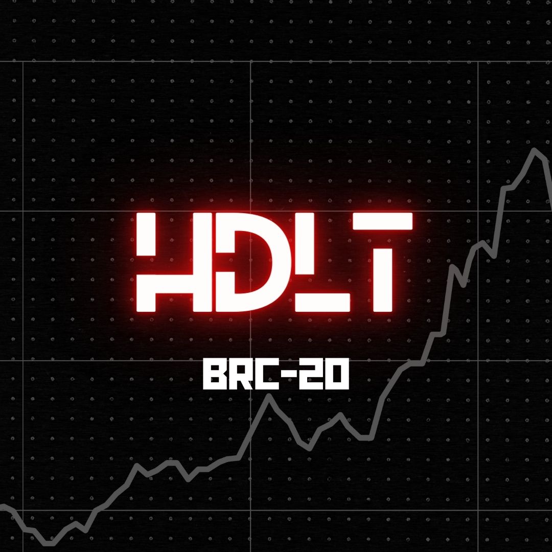 HDLT @ BRC-20 (@HDLT_BRC20) / Twitter