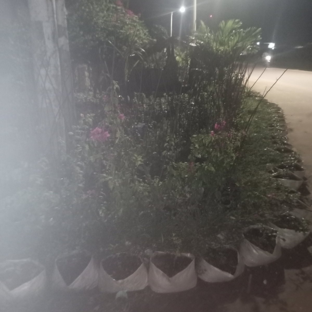 Asal Communities Empowerment News on Twitter: "Malindi streets remain safe & calm at this hour ...