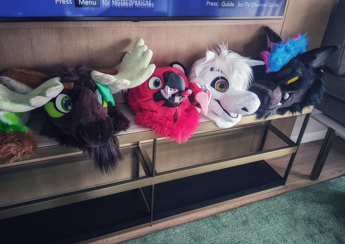 Zain Akkla 🍎 Fwa On Twitter The Gangs All Here Now ~ 💙🦊‼️