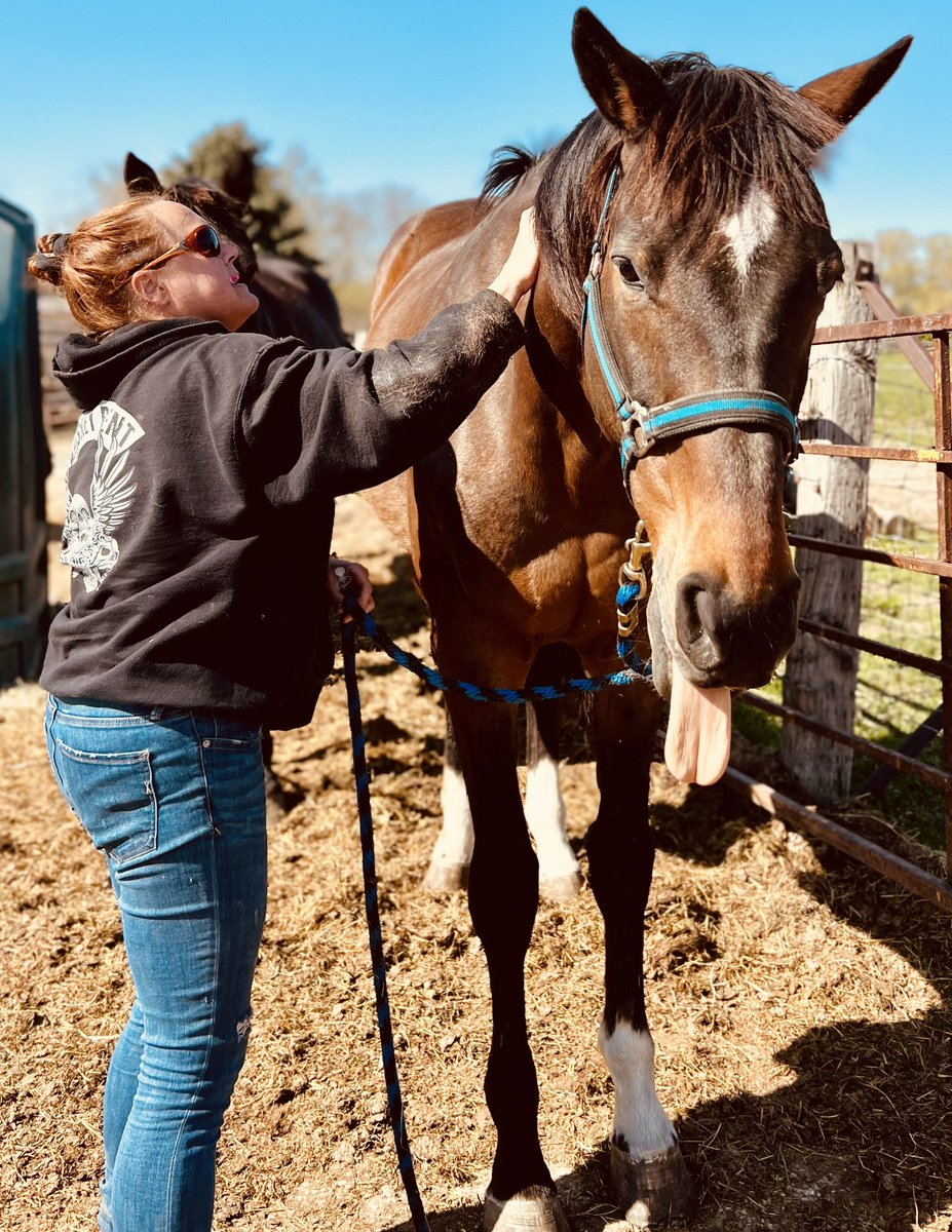 Unbridled Spirits Thoroughbred Retirement Ranch on Twitter: "A HUGE TY to The Unwanted Horse ...