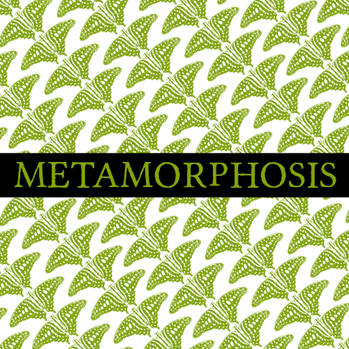 Montague Etcetera on Twitter: "#SCP-7408 - Metamorphosis https://t.co/TsvALCaWAu https://t.co ...