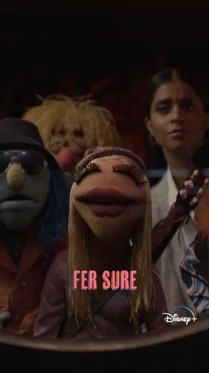The Muppets Characters Janice