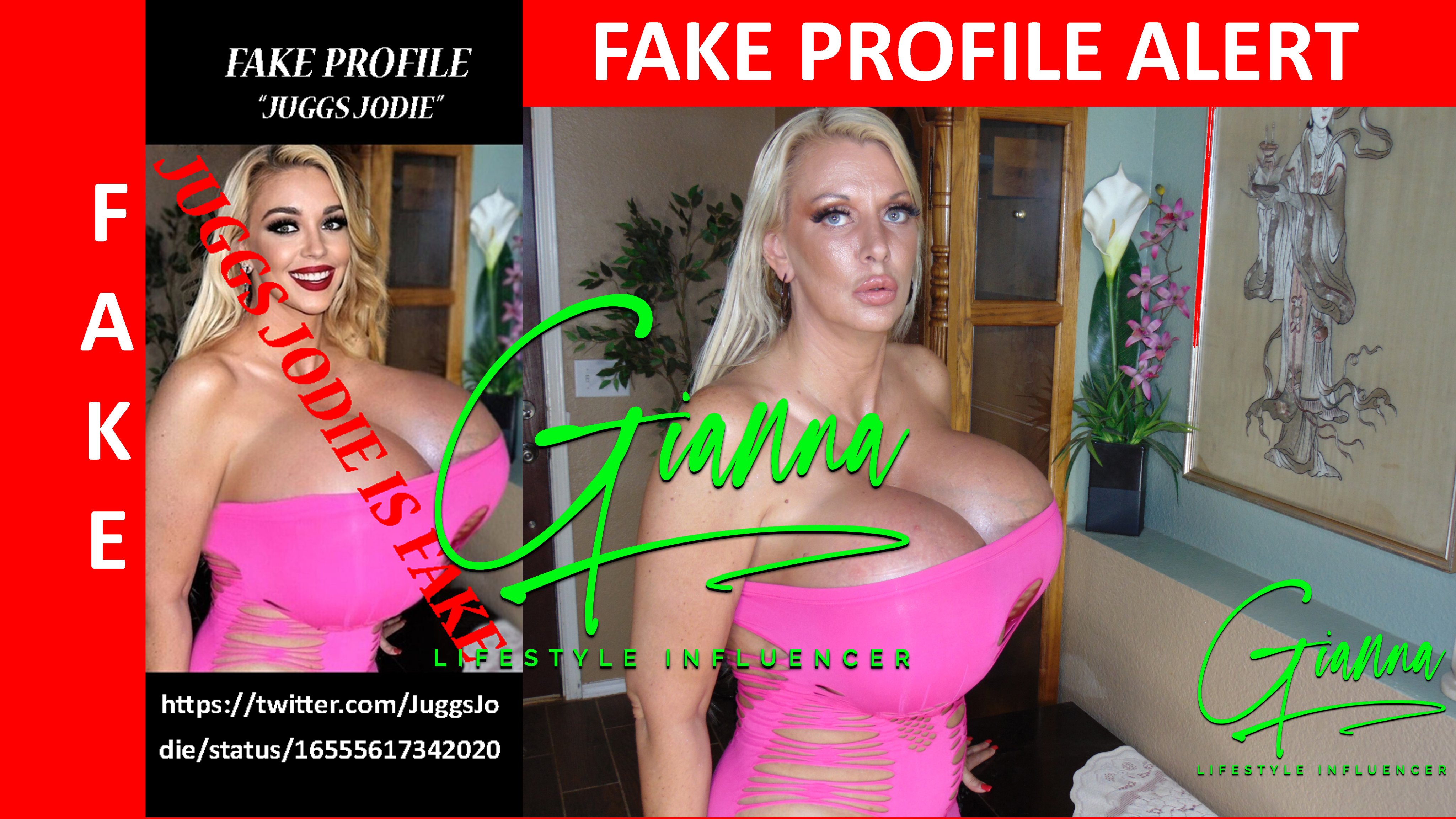 The Gianna Woods on Twitter: "@gizmo_helping @ajohnson8897 @JuggsJodie @JessyPlastic @HPhotus ...