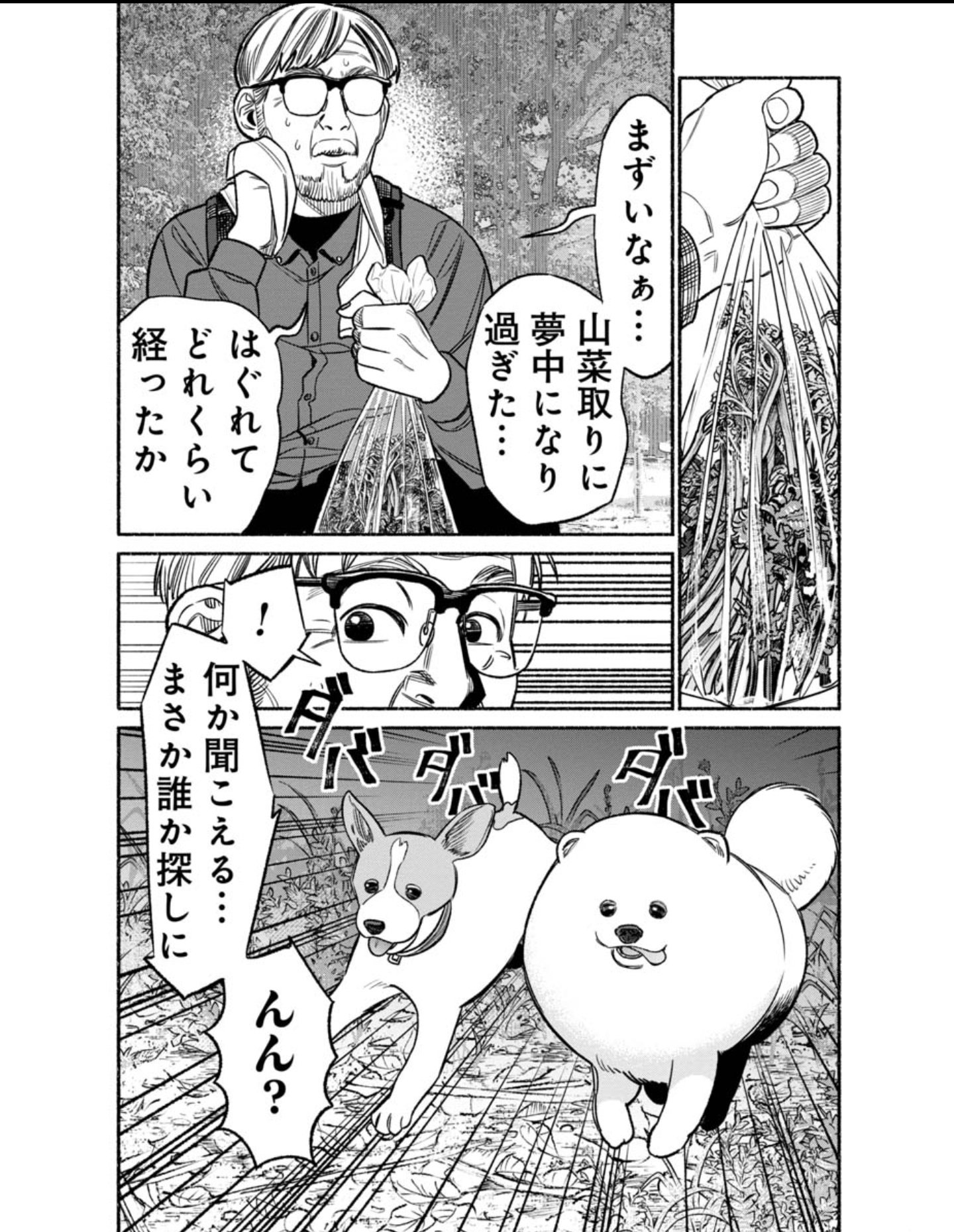 帰ってきた 信長 軍 on Twitter: "@kousuke_oono 可愛い動物のテンション高い食べ方は 爆笑する https://t.co/I277oJad4s" / Twitter