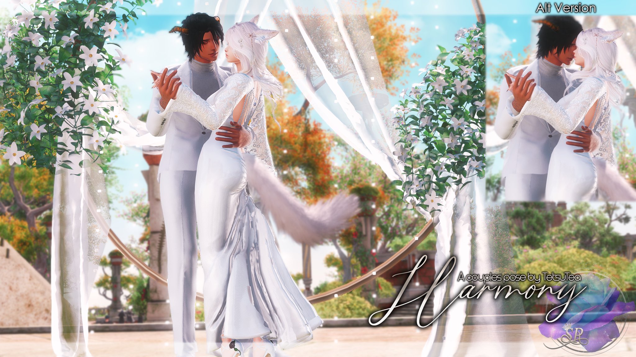 TetsuTea the Grumpy Persian Catto on Twitter: "Cute couples pose inspired by Solona’s new dress ...