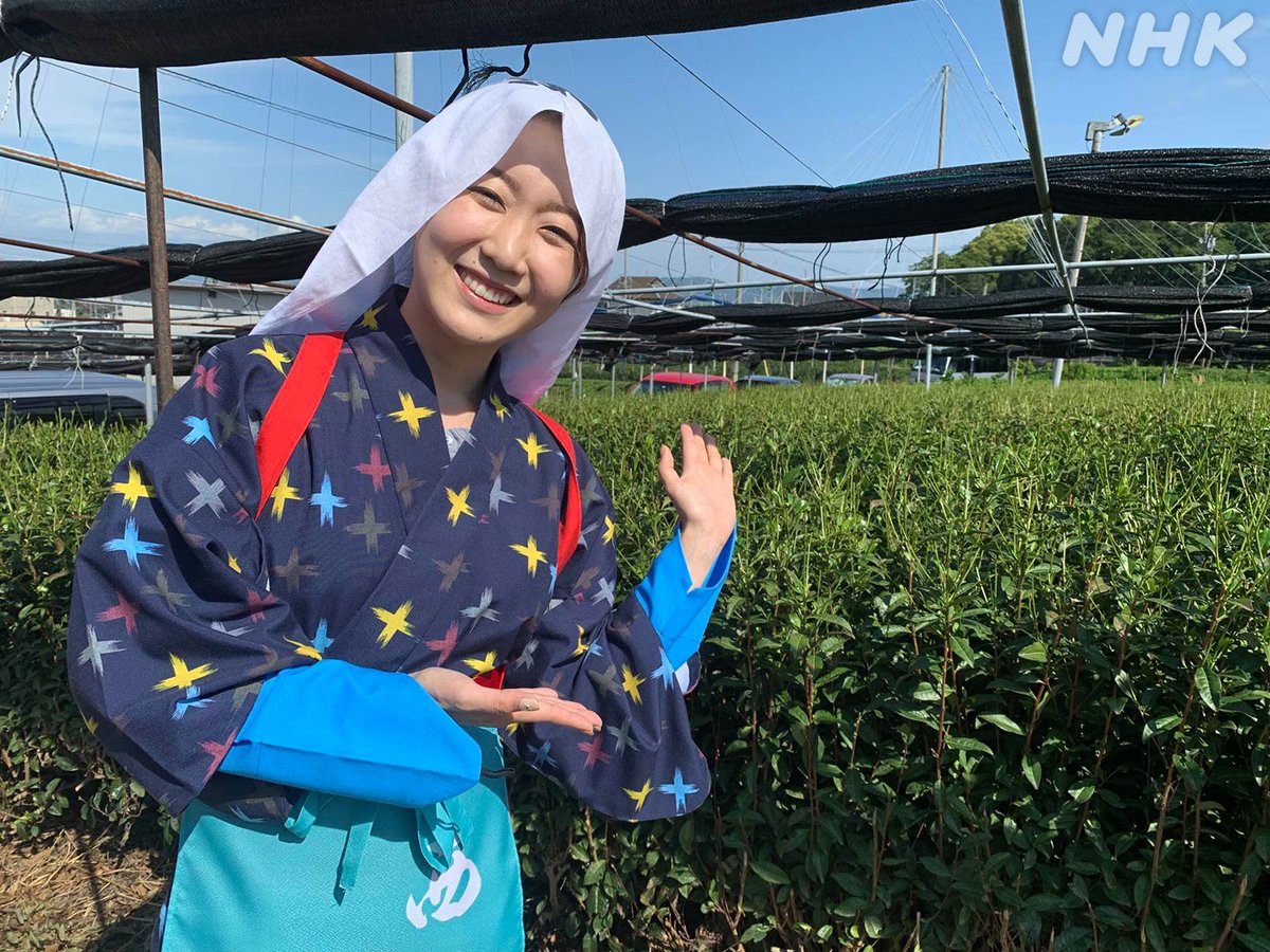 NHKアナウンス室(水曜夜10:00ラジオ第2「アナウンサー百年百話」放送中) on Twitter: "名古屋局の木村穂乃アナの中継は NHKプラスで見逃し配信中👇 https://plus ...