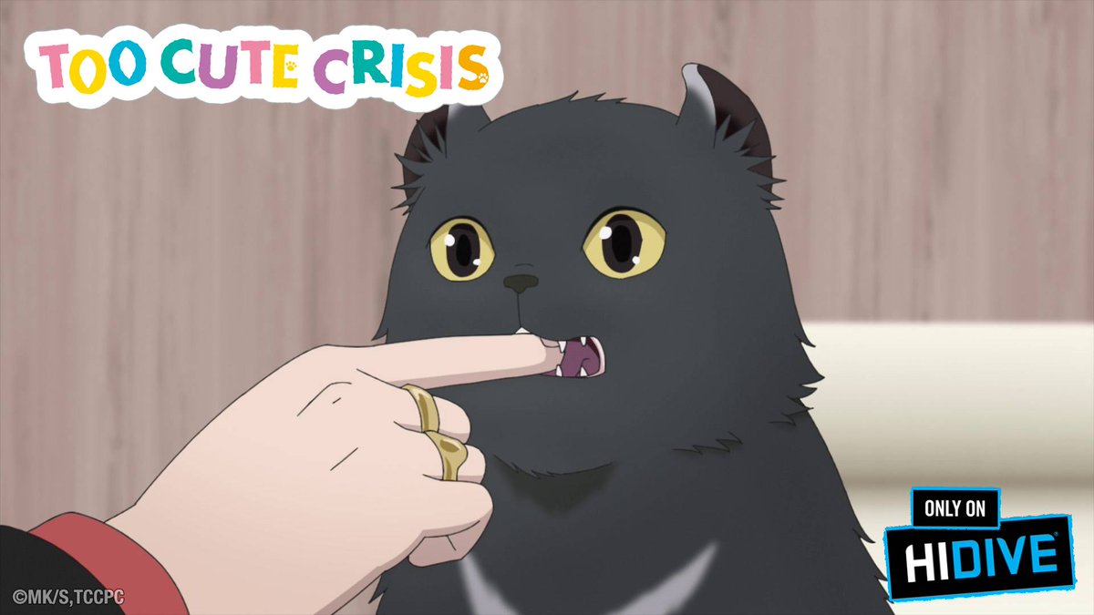 Hidive On Twitter Ouch 😅 🐱 Too Cute Crisis Episode 6 Is Live