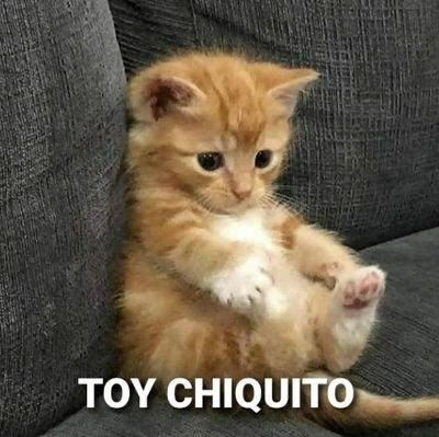 Ese Chiquitito Memes Estoy Bien Chiquito Aún 🤨