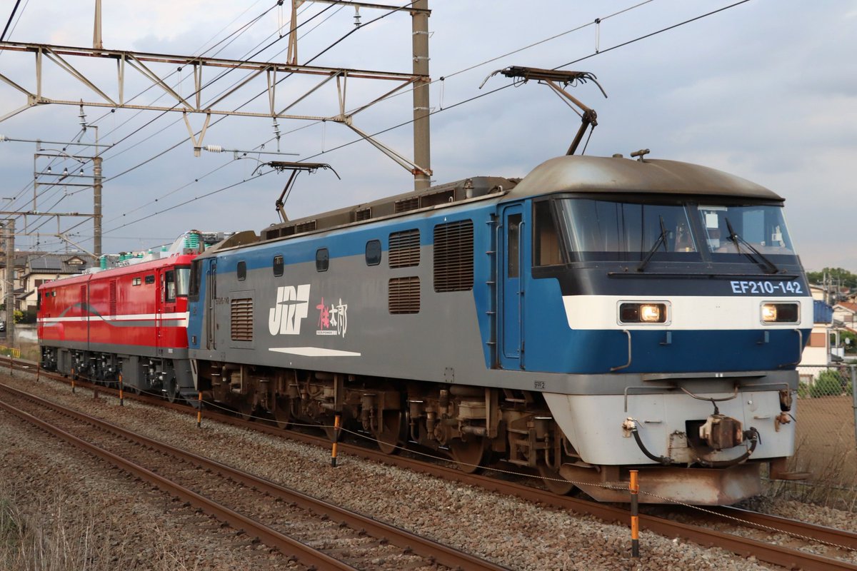 SS-20💮🎙️ on Twitter: "2023/5/12 単8282レ EF210-142+EH800-7(ムド)(大宮出場) 4073レ EF65 2083+コキ16車"