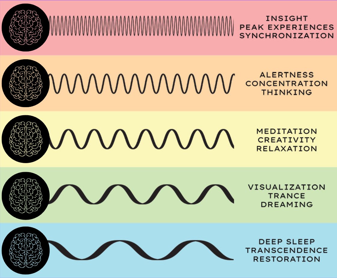 5 types of brain wavelengths and what they represent: - Thread from ...