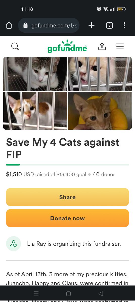 Mr.RealNonstopTalent on Twitter: "RT @gray_siblings: PLEASE HELP OUR FIP WARRIORS 🆘 We are ...