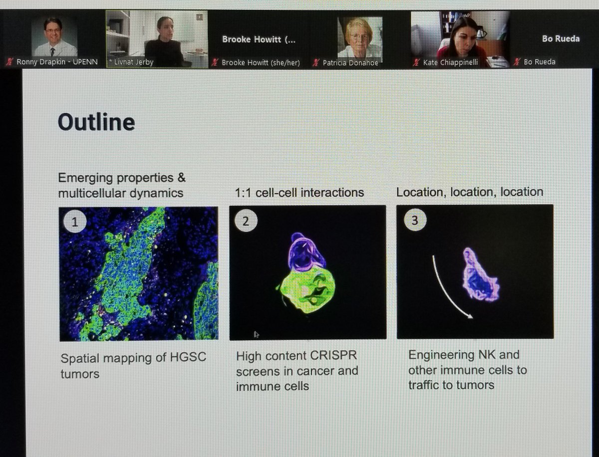 Penn Ovarian Cancer Research Center on Twitter: "An absolutely beautiful Syndicate talk by ...