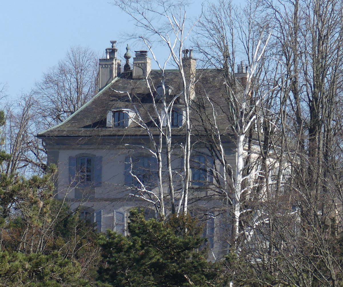 Gruen was one of the first US watch companies to offer basic movements ...