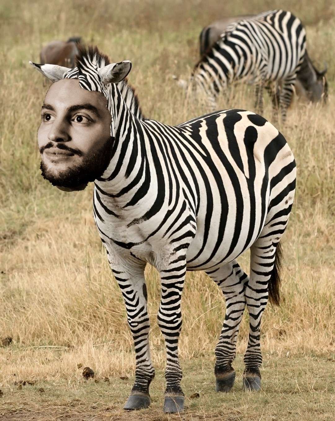 Half Zebra Half Man