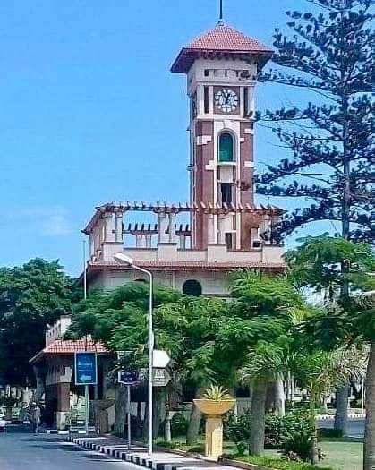 ايزيس***المصرية🇪🇬 on Twitter: "RT @Alaa_Elatfawe: انا عندي شبه يقين ان اللي ماسك التجديدات في ...