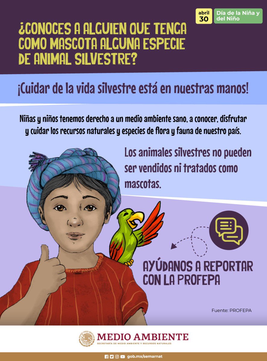 SEMARNAT México on Twitter: SEMARNAT México on Twitter: