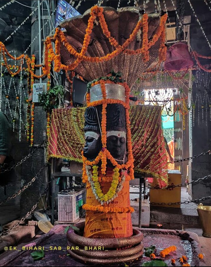 12 Extremely Rare and Unique Shaped Divine Shivlingam of Bhagwan Shiva ...