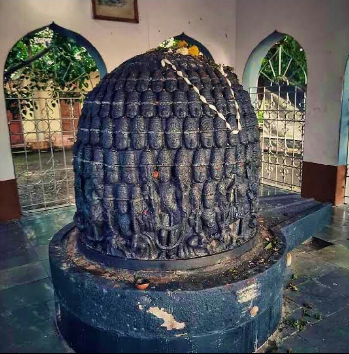 12 Extremely Rare and Unique Shaped Divine Shivlingam of Bhagwan Shiva ...