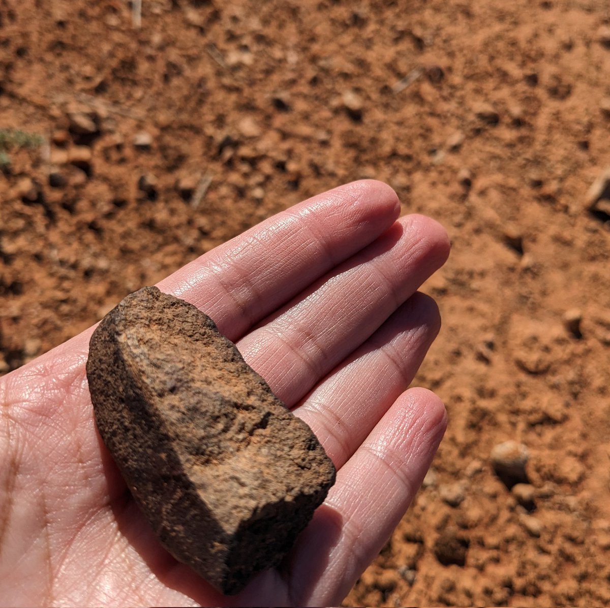 Dr Natasha Stephen on Twitter: "My favourite #meteorite find from this ...