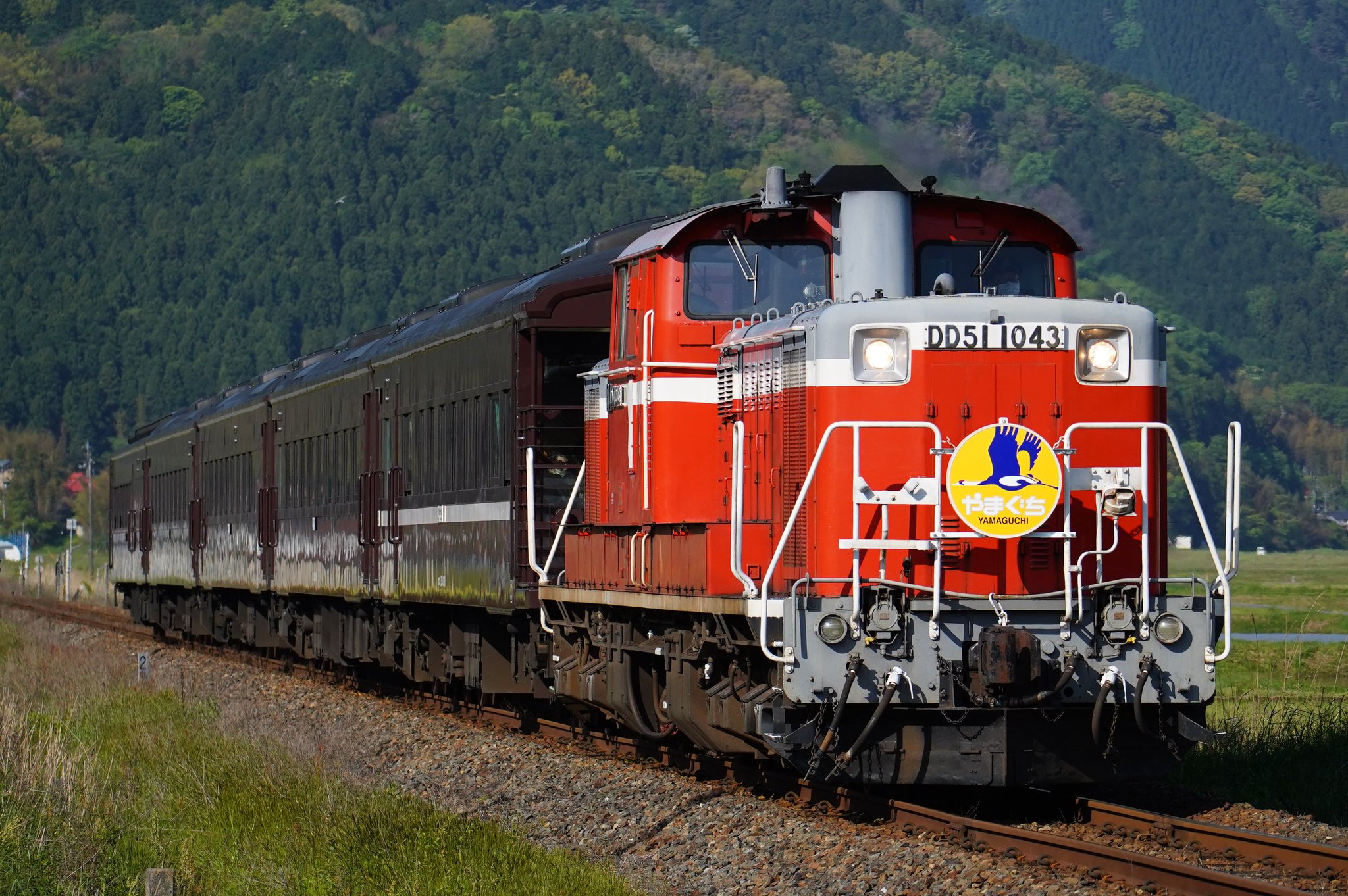 ぴぽべにもん on Twitter: "#DD51の日 1043最高 https://t.co/QOGASW4GTp" / Twitter