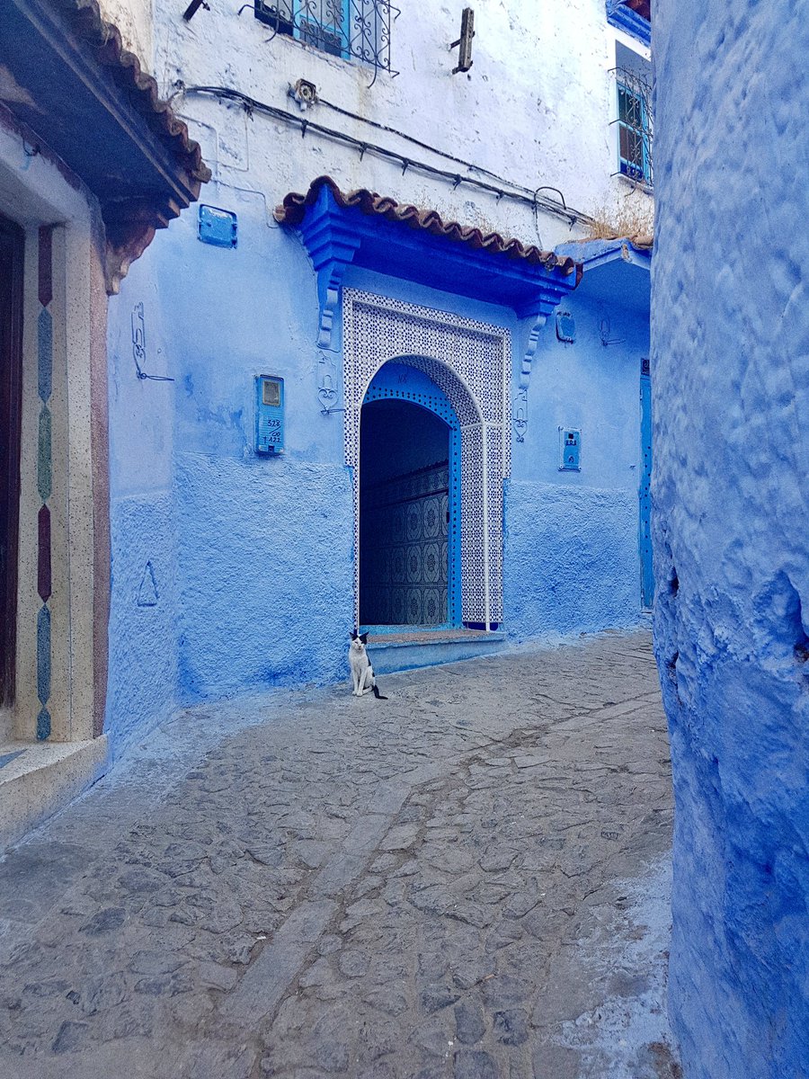 Chefchaouen is one of the prettiest towns in Morocco, an artsy, blue ...