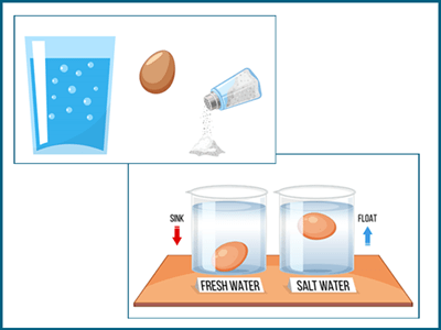 K5 Learning on Twitter: "The floating egg science experiment is a ...