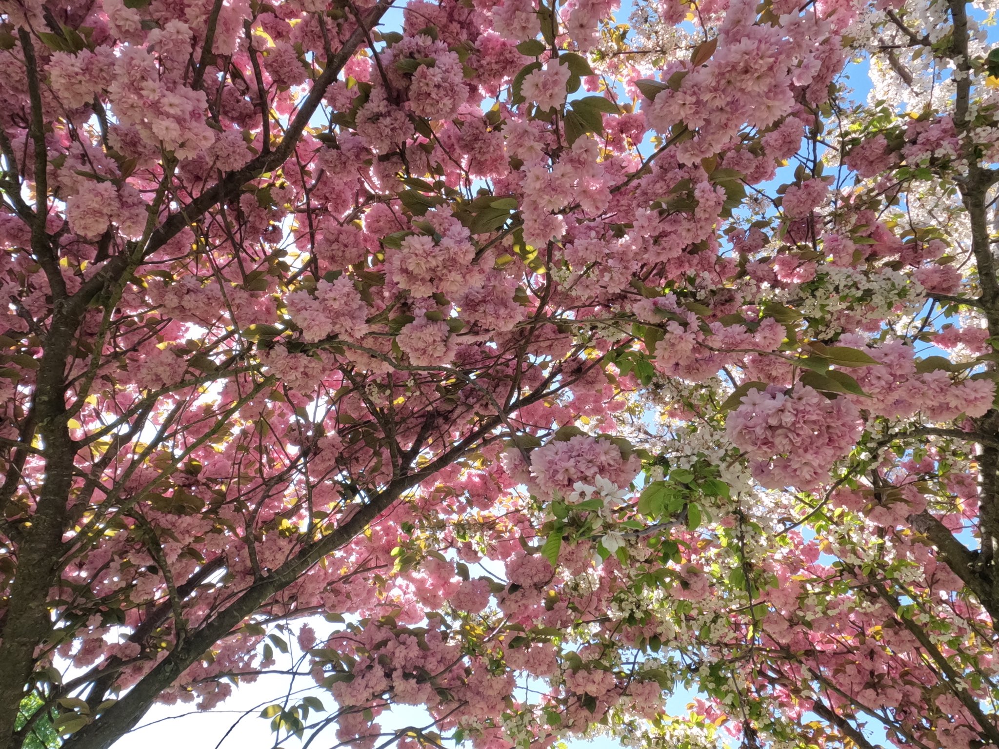 Ami ♡ booktwt ♡ (@readingxshit) / Twitter