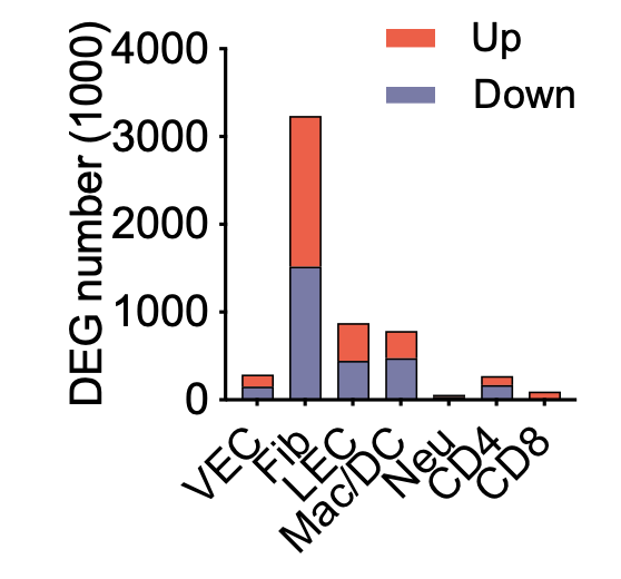 dana_peer's Threads – Thread Reader App
