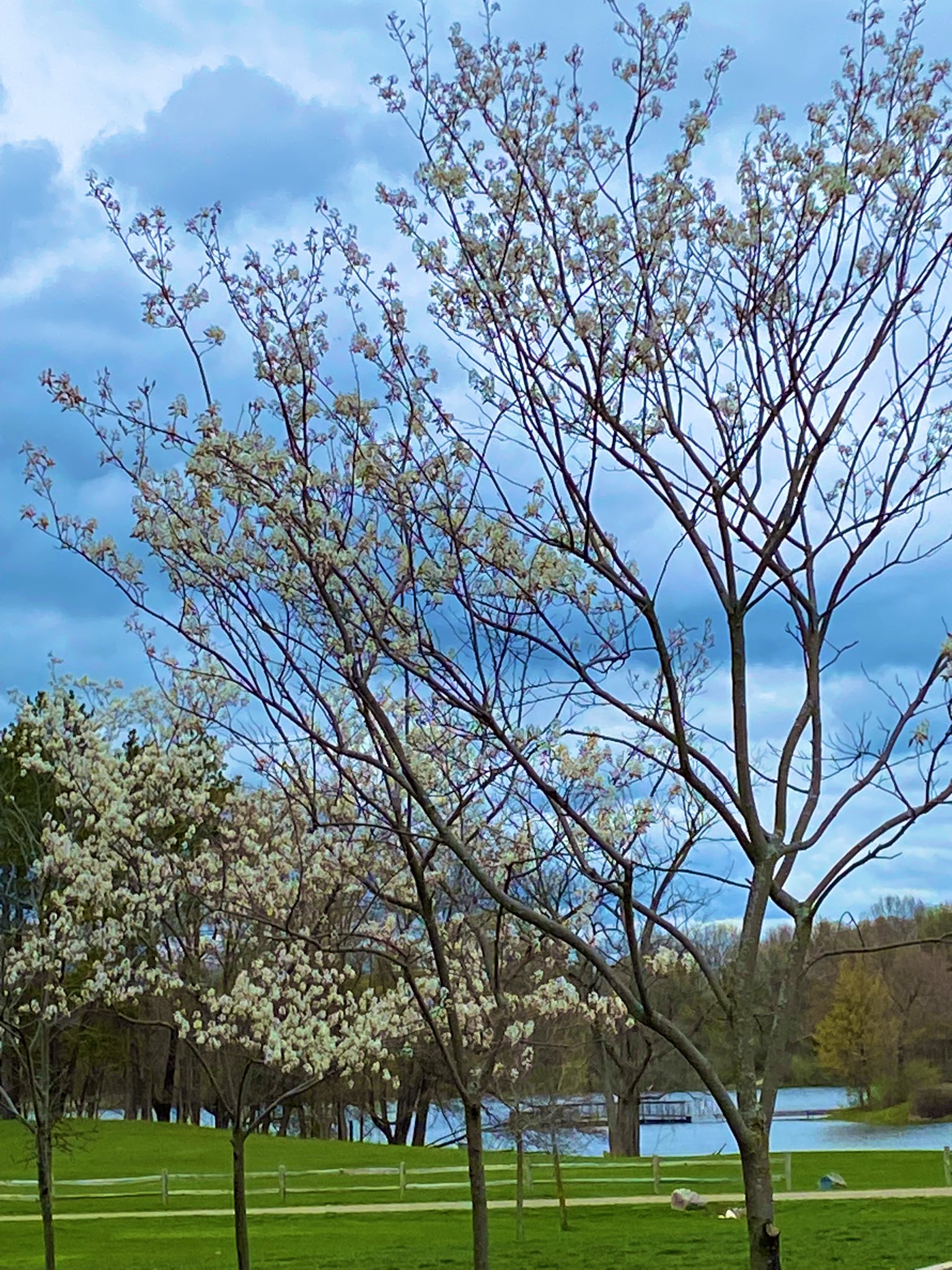 Ra'afat (@raafat_saleh) / Twitter